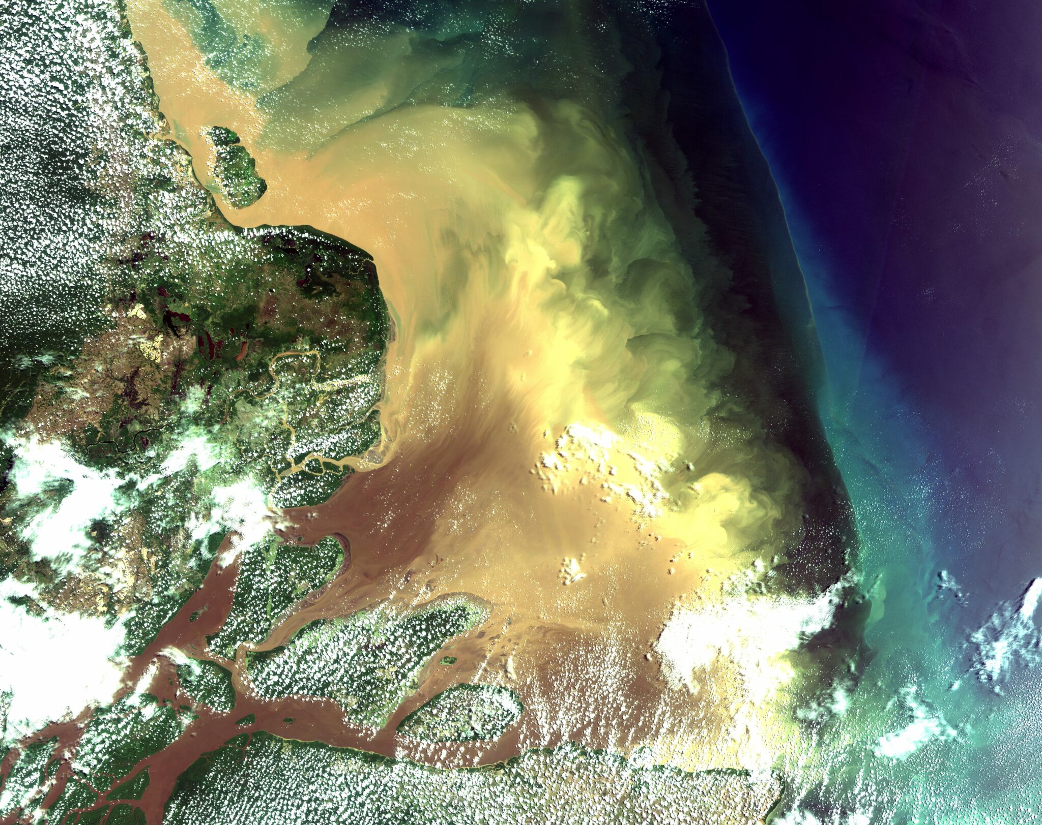 Oitenta organizações enviam ofício ao governo para brecar a exploração ...